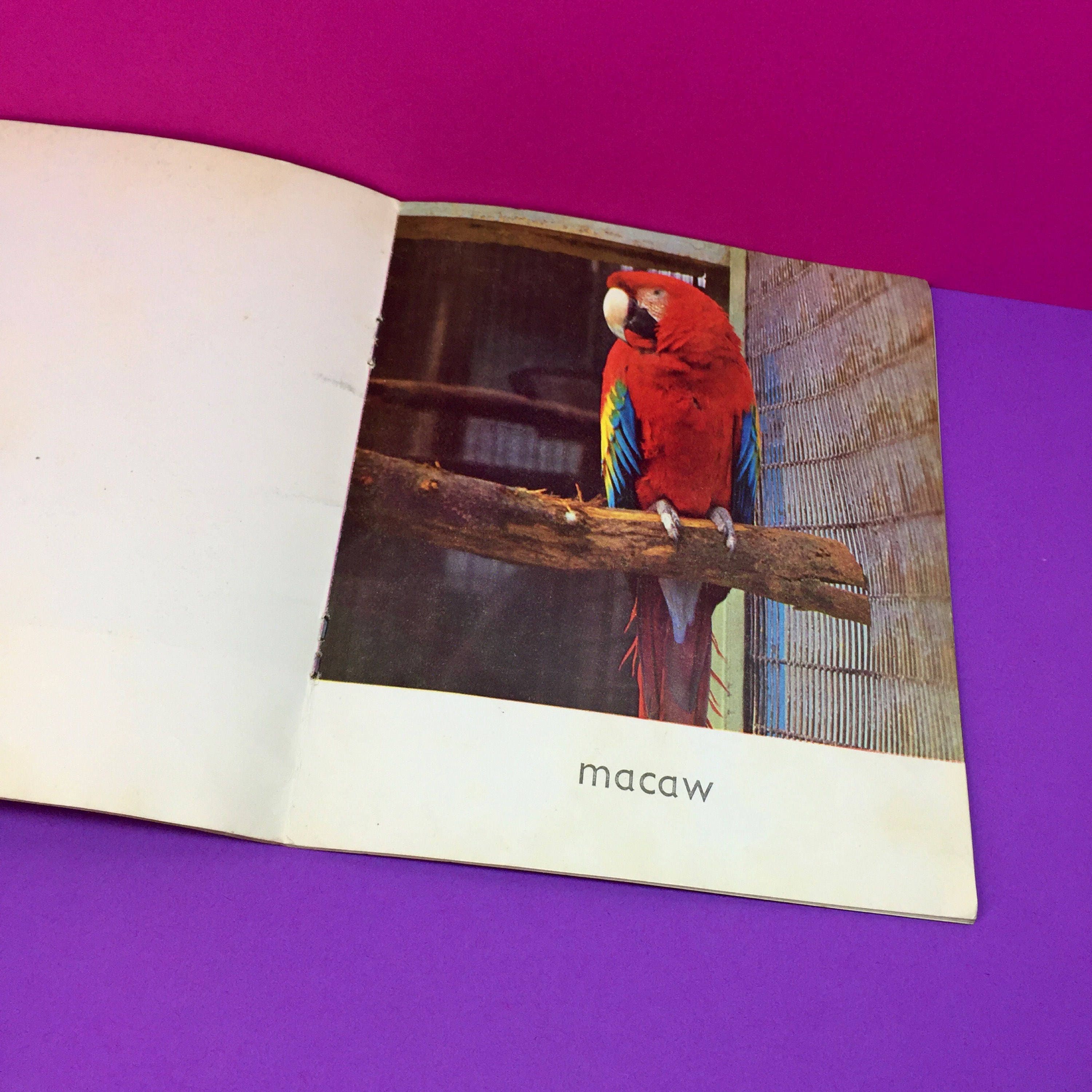 First Zoo Book Vintage Childrens Book Picture Book Zoo - Etsy UK