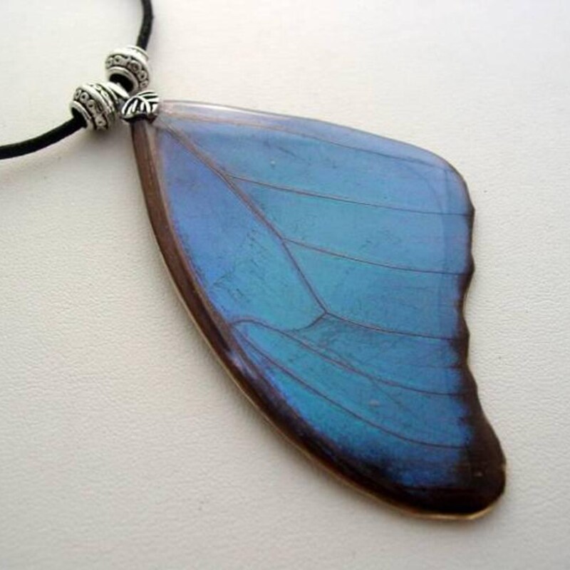 Real Butterfly Wing - Etsy
