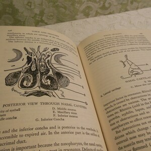 Vintage Book Voice and Delivery Training of Mind, Voice & Body for ...