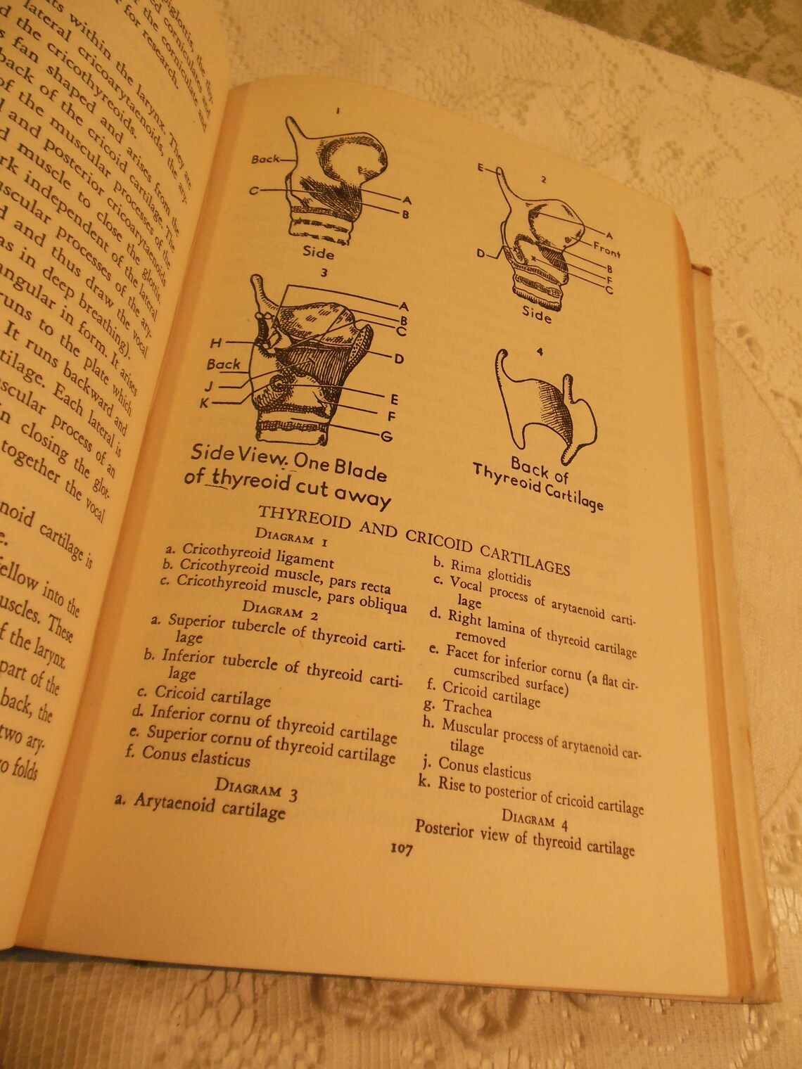 Vintage Book Voice and Delivery Training of Mind, Voice & Body for ...