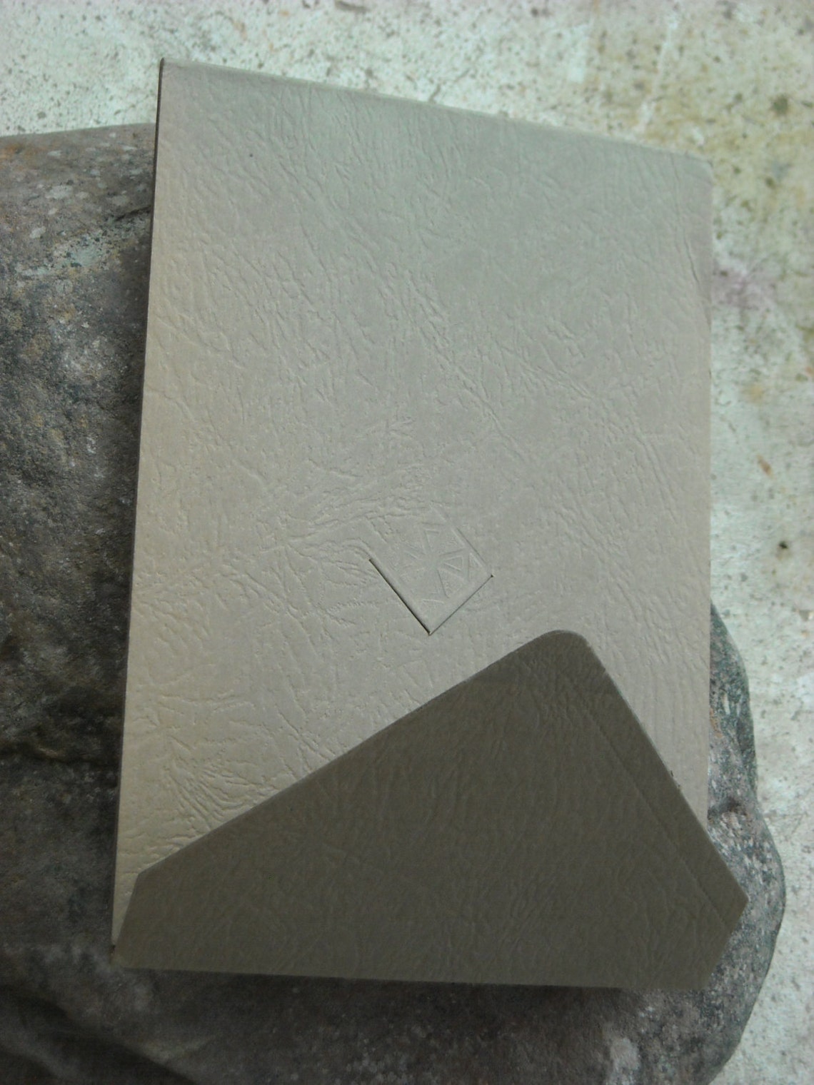 Handsome Young Man Parlor Photo - Etsy