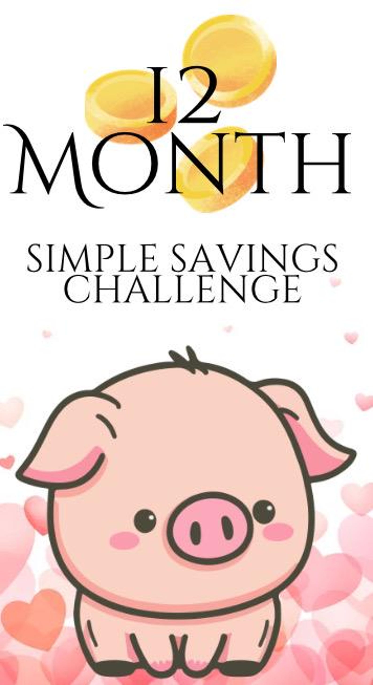 A6 Budget Binder Inserts: 12 Month Savings Challenge Trackers - Etsy