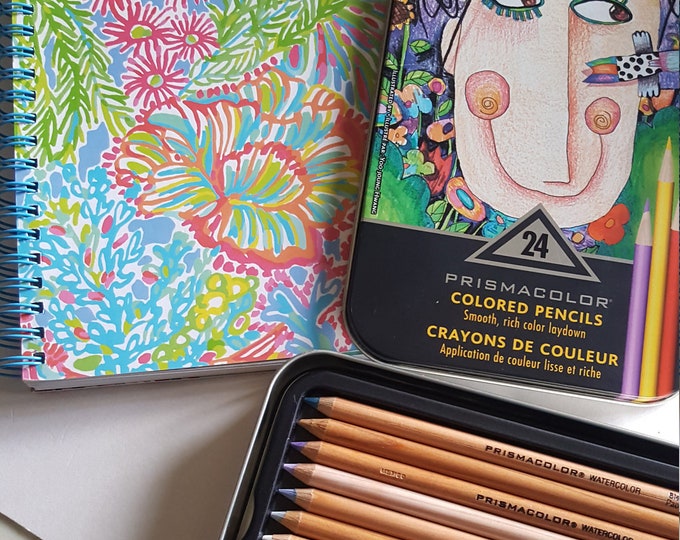 Art Drawing Kit, Colored Pencils and Journal Art Kit, Art Kit Gift ...