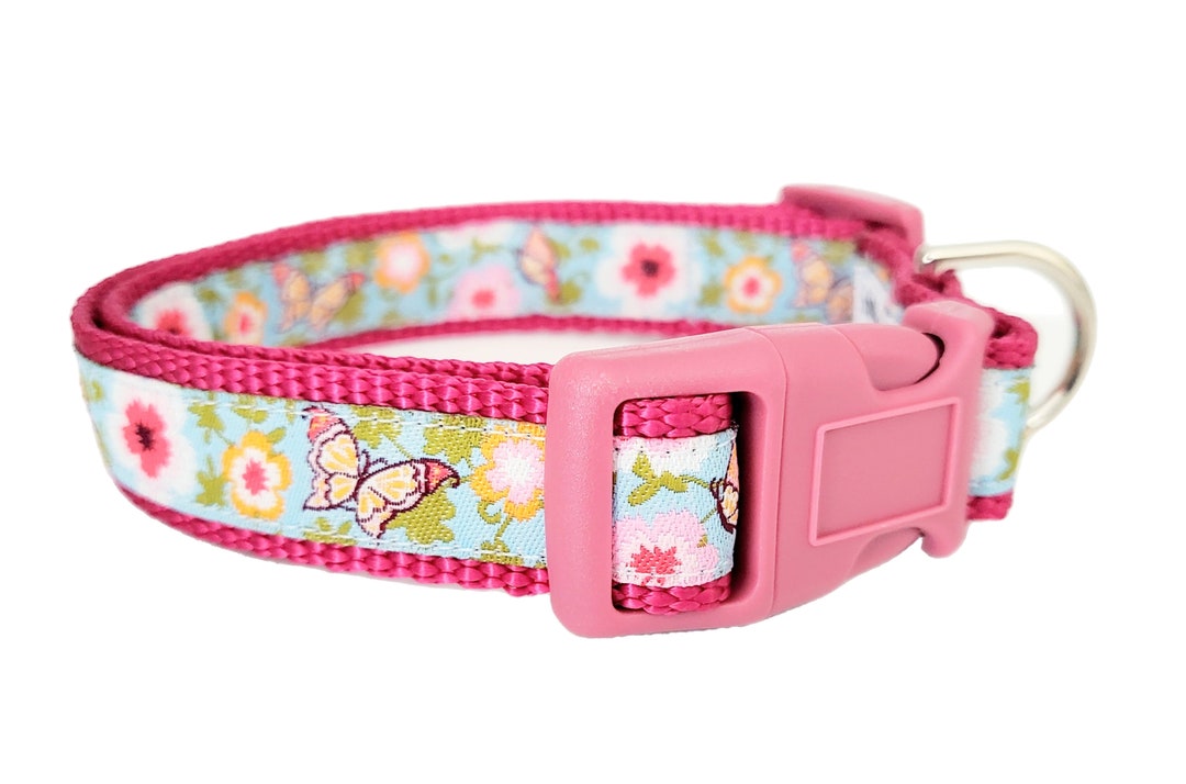 Summertime Dog Collar / Small Dog Collar / Butterflies / Teacup / Mini ...