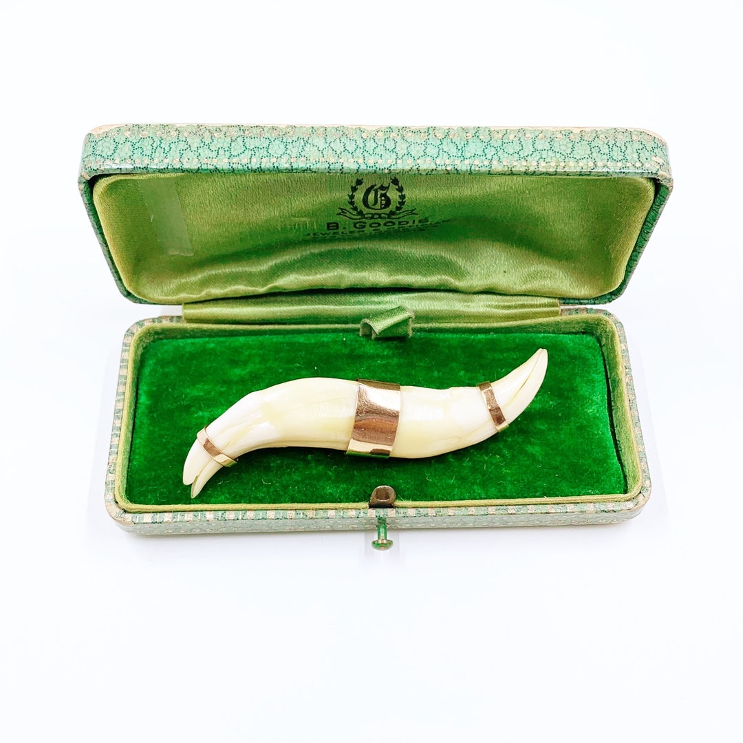 Antique Victorian 10K Gold Mounted Tooth Brooch - Etsy