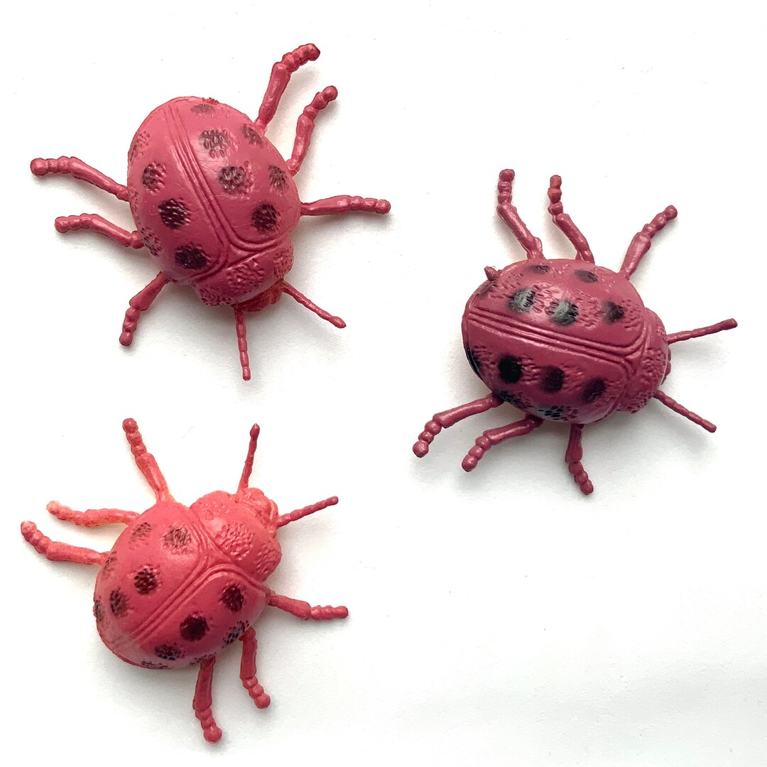 Three Beetles Insects Miniatures 1.5" Long Plastic - Etsy