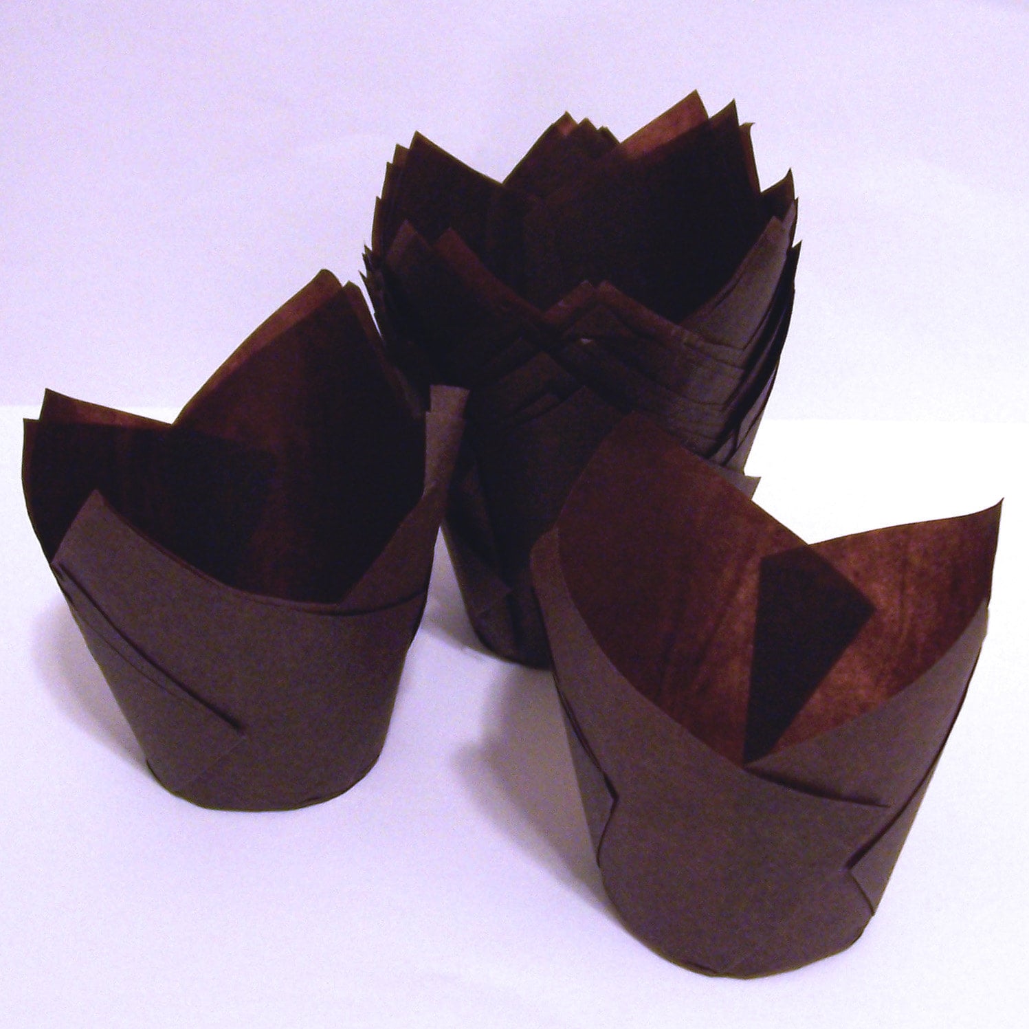 24 Brown Tulip Cupcake Liners 3.5 tall by 2.25 wide bottom | Etsy