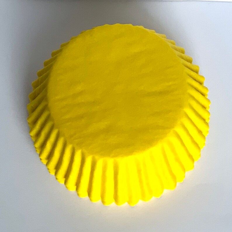 Yellow Cupcake Liners Standard Bottom With Short Wall Choose | Etsy
