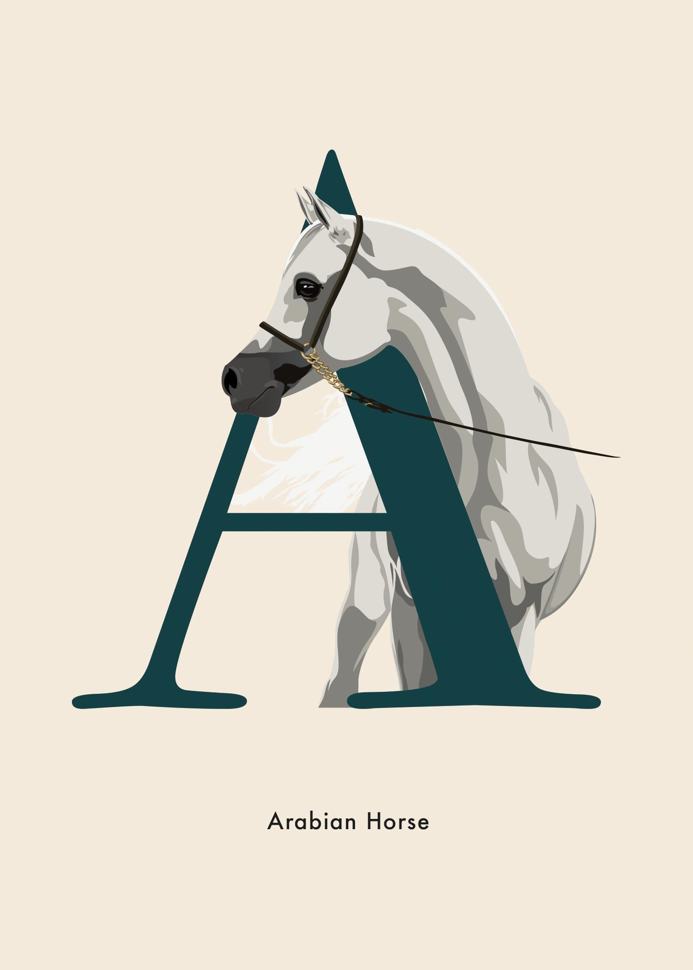 A for Arabian Horse - Elegant Horse Alphabet Poster in Teal and Cream ...