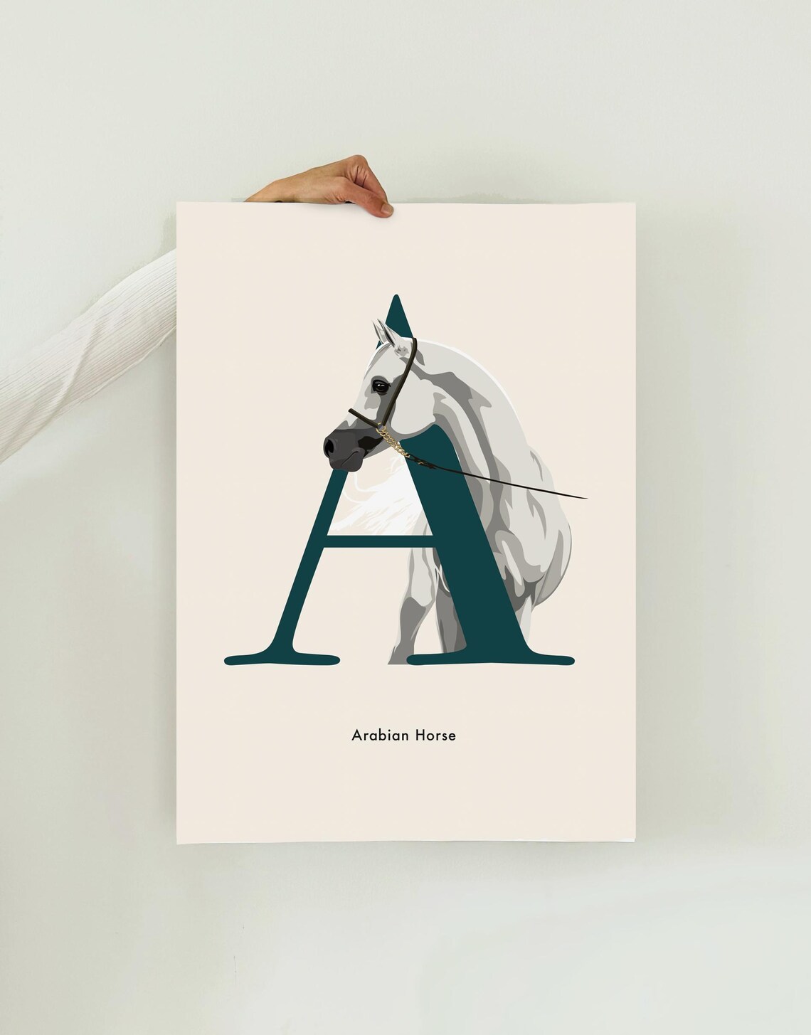 A for Arabian Horse - Elegant Horse Alphabet Poster in Teal and Cream ...