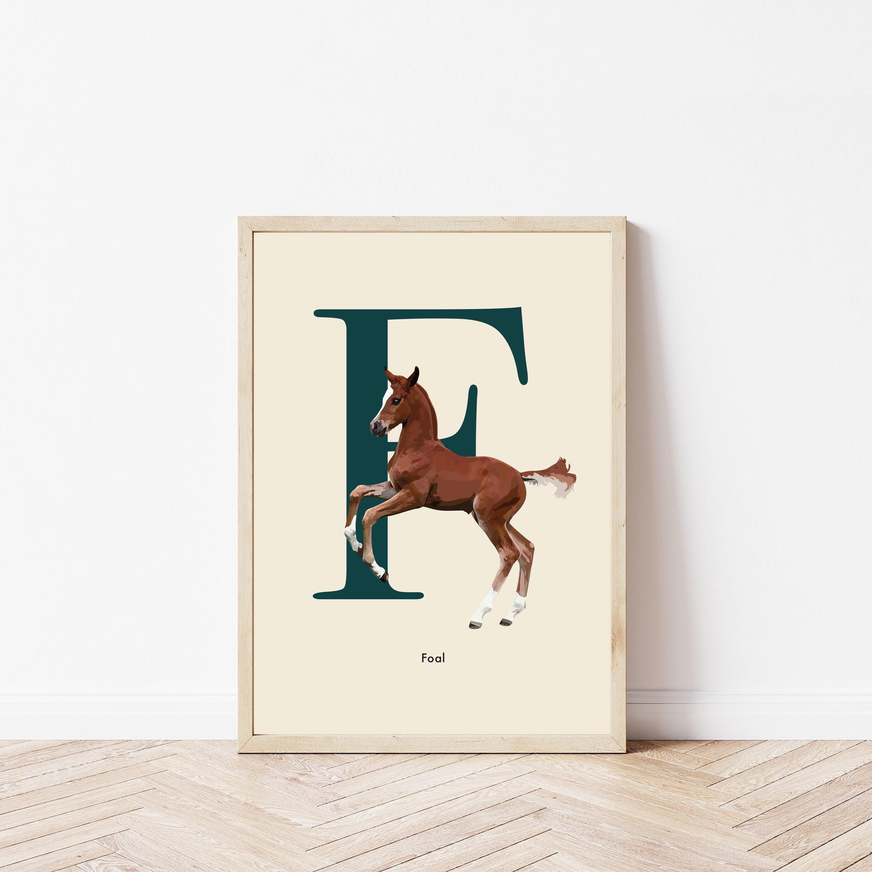 F for Foal - Elegant Horse Alphabet Poster in Teal and Cream ...