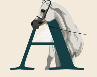 E for Eventing Elegant Horse Alphabet Poster in Teal and Cream ...
