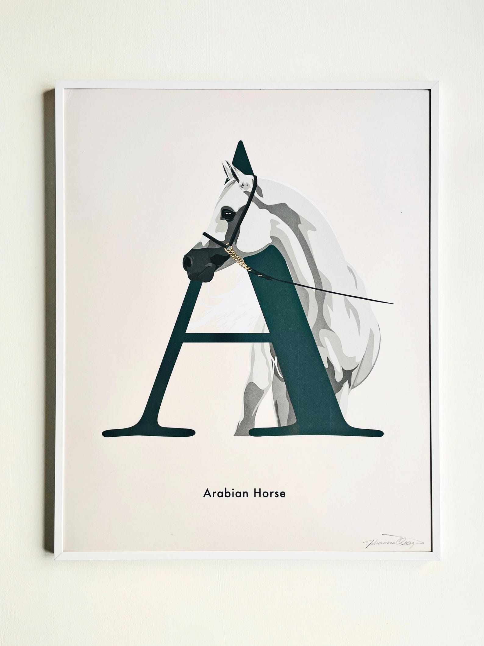 A for Arabian Horse - Elegant Horse Alphabet Poster in Teal and Cream ...