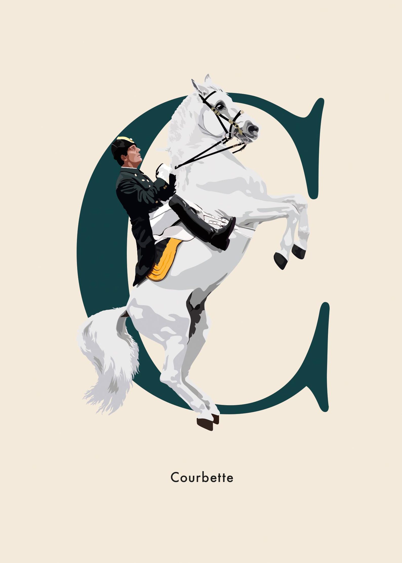 C for Courbette - Elegant Horse Alphabet Poster in Teal and Cream ...