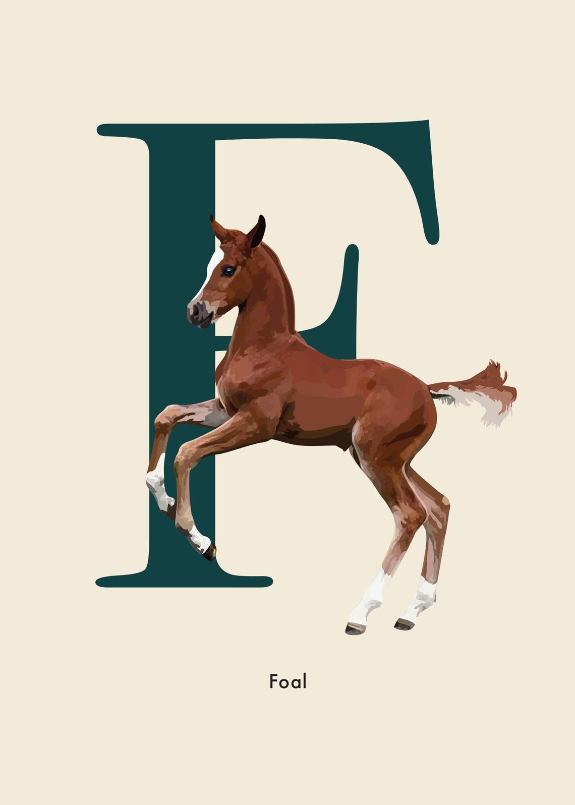 F for Foal - Elegant Horse Alphabet Poster in Teal and Cream ...