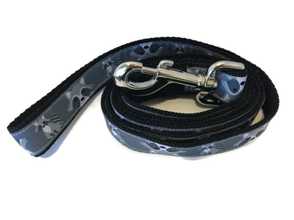 Dog Leash Raccoon 1 Inch Wide 1 Foot 4 Foot or 6 Foot - Etsy