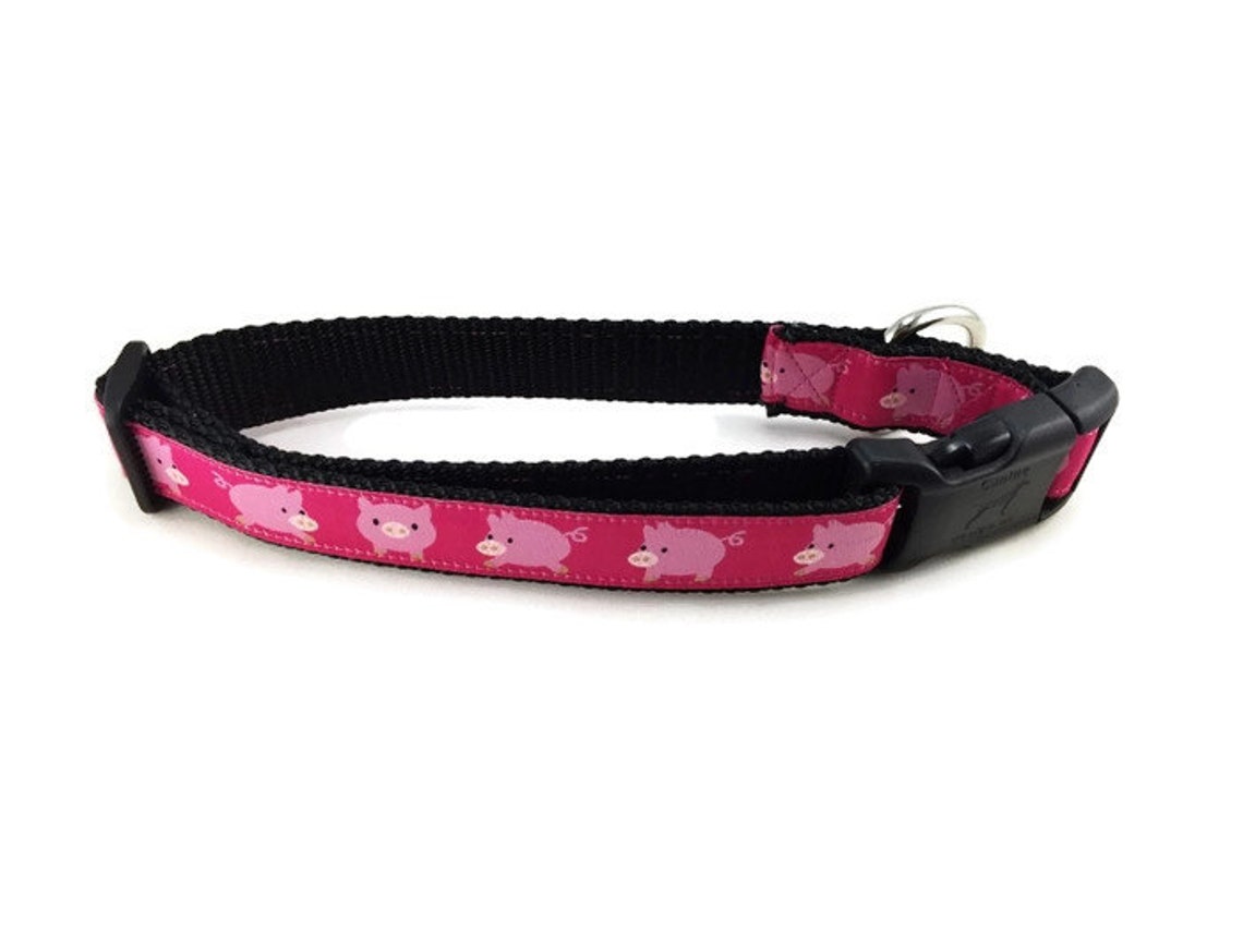 Dog Collar Pigs Dog Collar 1 Inch Wide Adjustable Plastic - Etsy