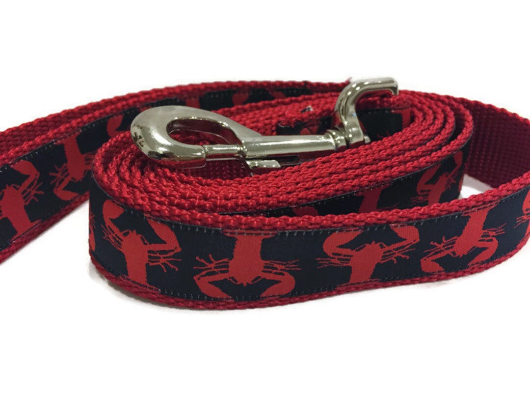 Dog Leash, Lobster, Maine, 1 Inch Wide, 1 Foot, 4 Foot, or 6 Foot - Etsy