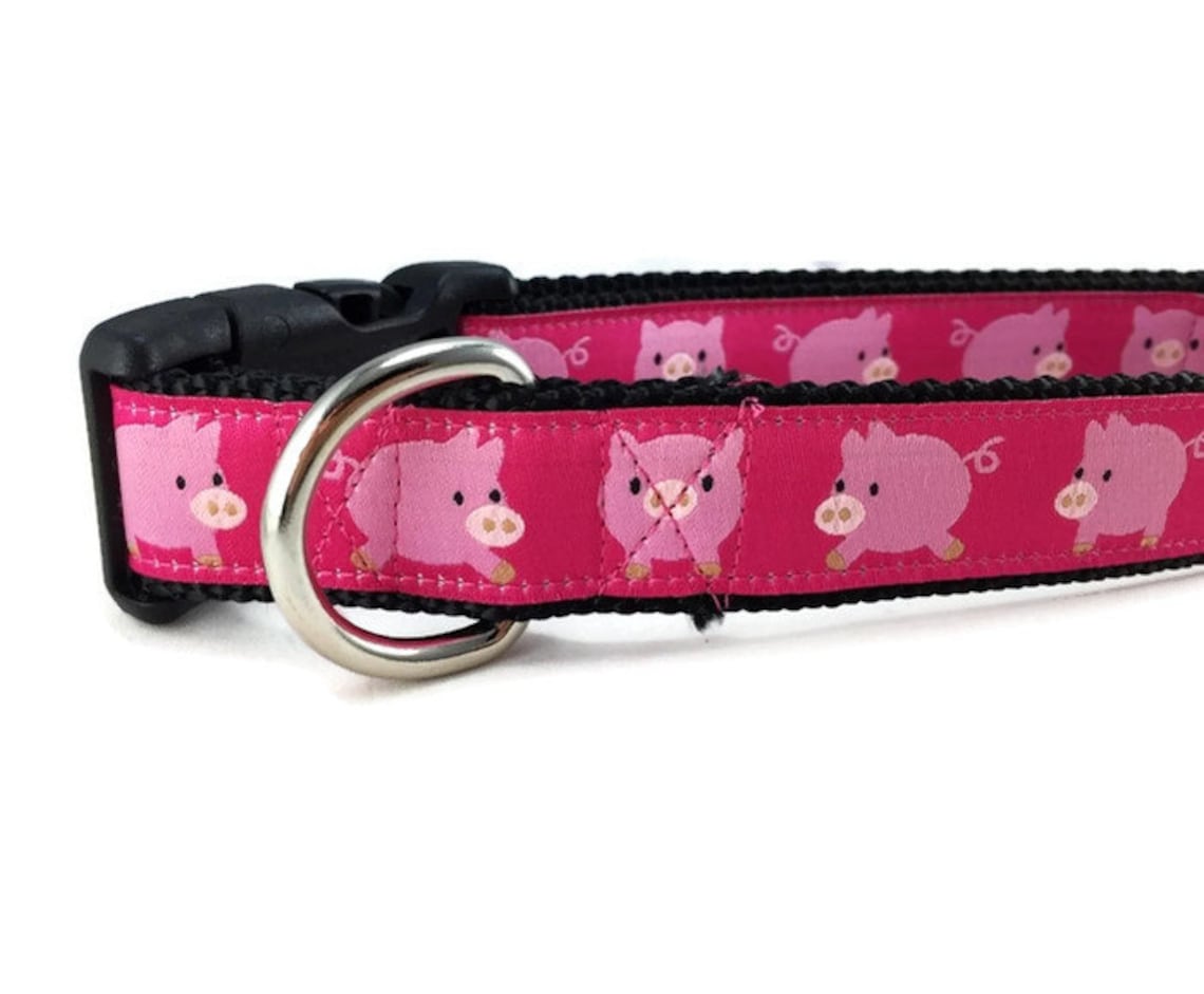Dog Collar Pigs Dog Collar 1 Inch Wide Adjustable Plastic - Etsy