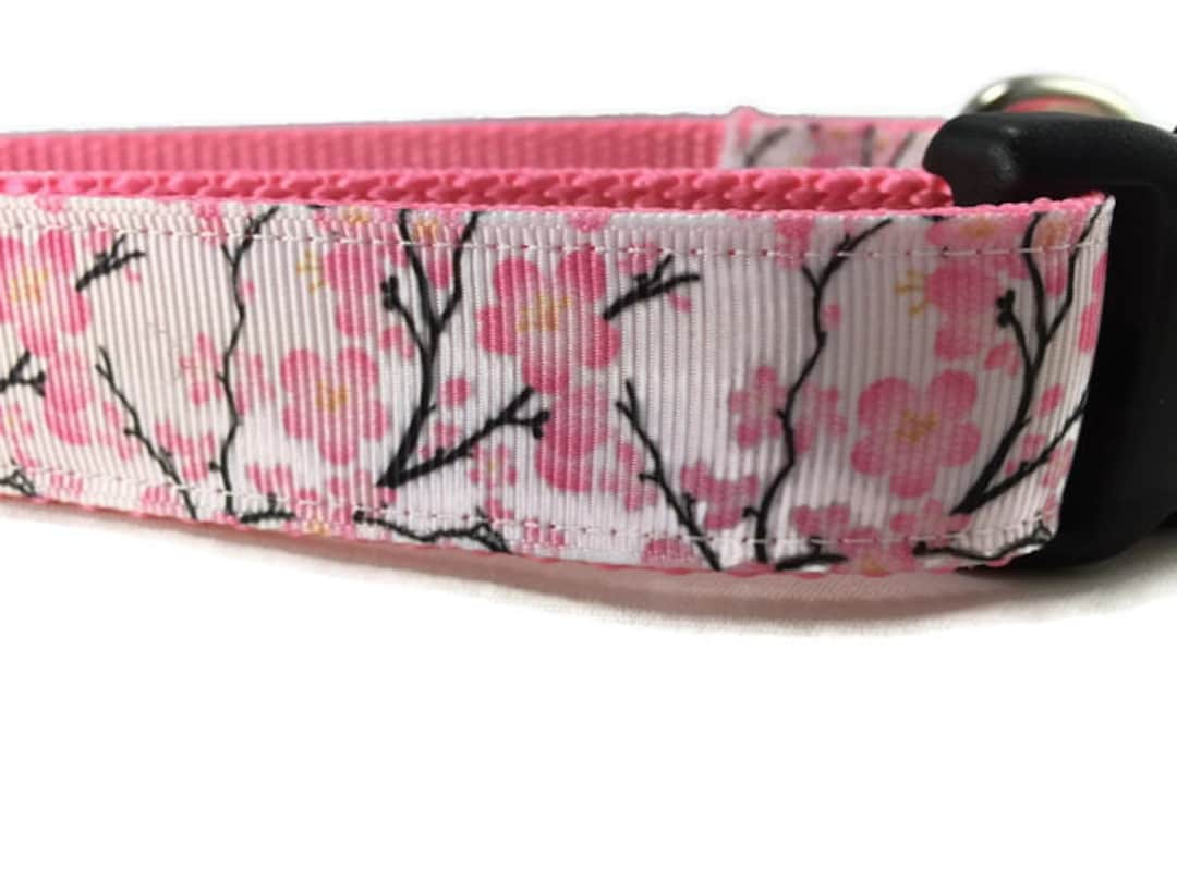 Cherry Blossom Dog Collar – Pink Floral Spring Collar for Dogs – 1 ...