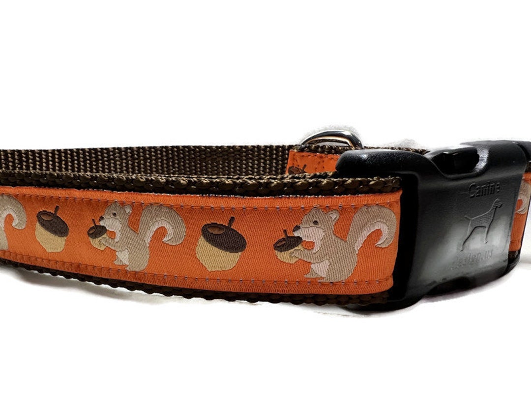 Squirrel Dog Collar – Fall Woodland Animal Collar With Acorns – 1" Wide ...