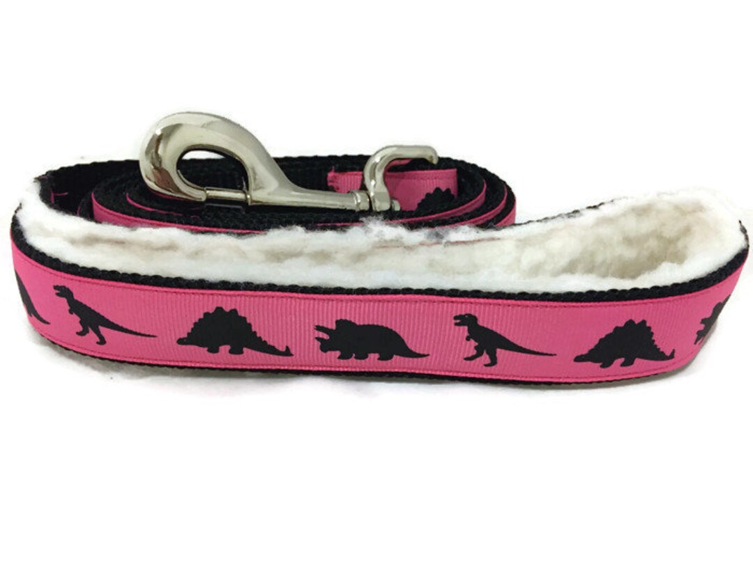 Dog Leash, Pink Dinosaurs, Dino, Lead, 1 Inch Wide, 1 Foot, 4 Foot, or ...
