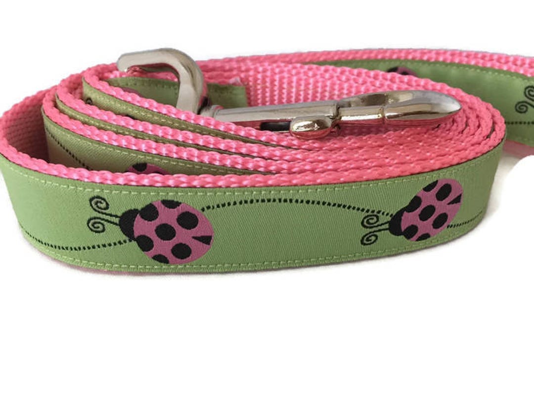 Dog Leash, Ladybug, 1 Inch Wide, 1 Foot, 4 Foot, or 6 Foot - Etsy