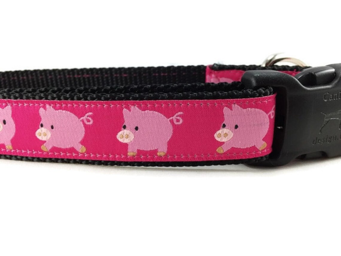 Dog Collar Pigs Dog Collar 1 Inch Wide Adjustable Plastic - Etsy
