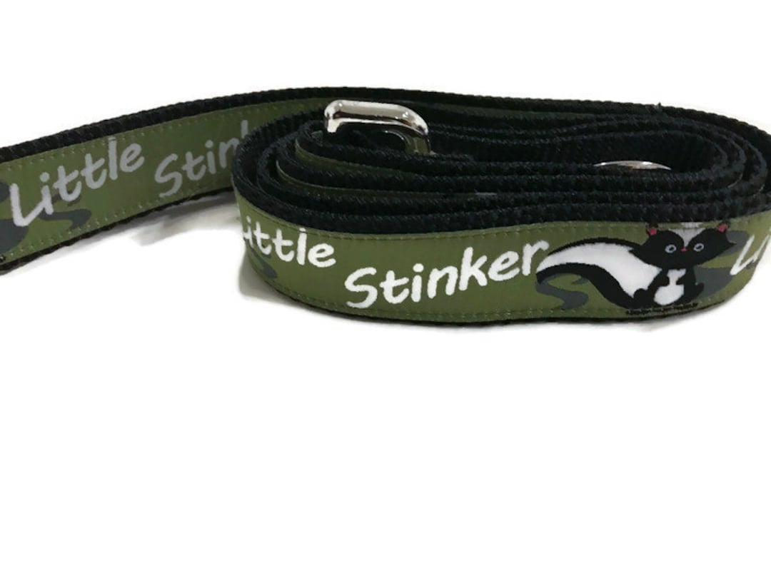 Dog Leash Skunk 1 Inch Wide 1 Foot 4 Foot or 6 Foot - Etsy