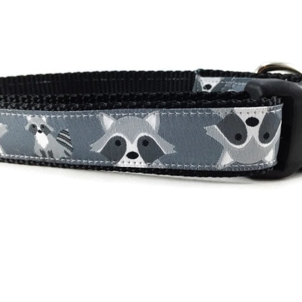 Raccoon Dog Collars - Etsy