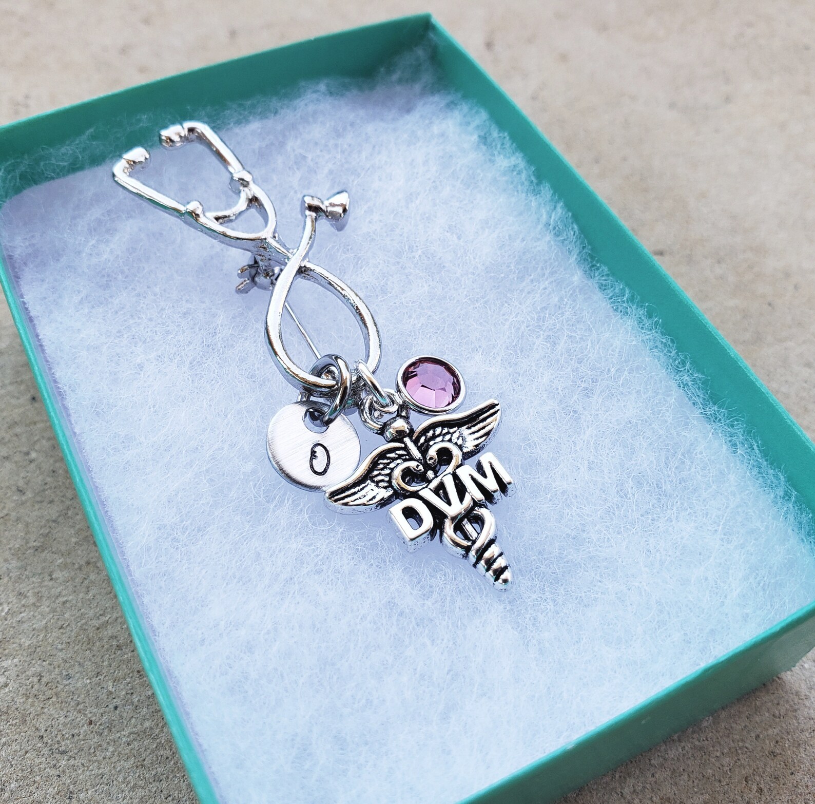 DVM Veterinarian Pin DVM Pin Doctor of Veterinary Medicine - Etsy