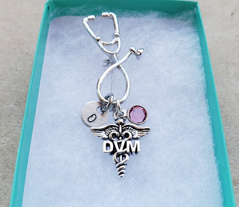 DVM Veterinarian Pin DVM Pin Doctor of Veterinary Medicine | Etsy