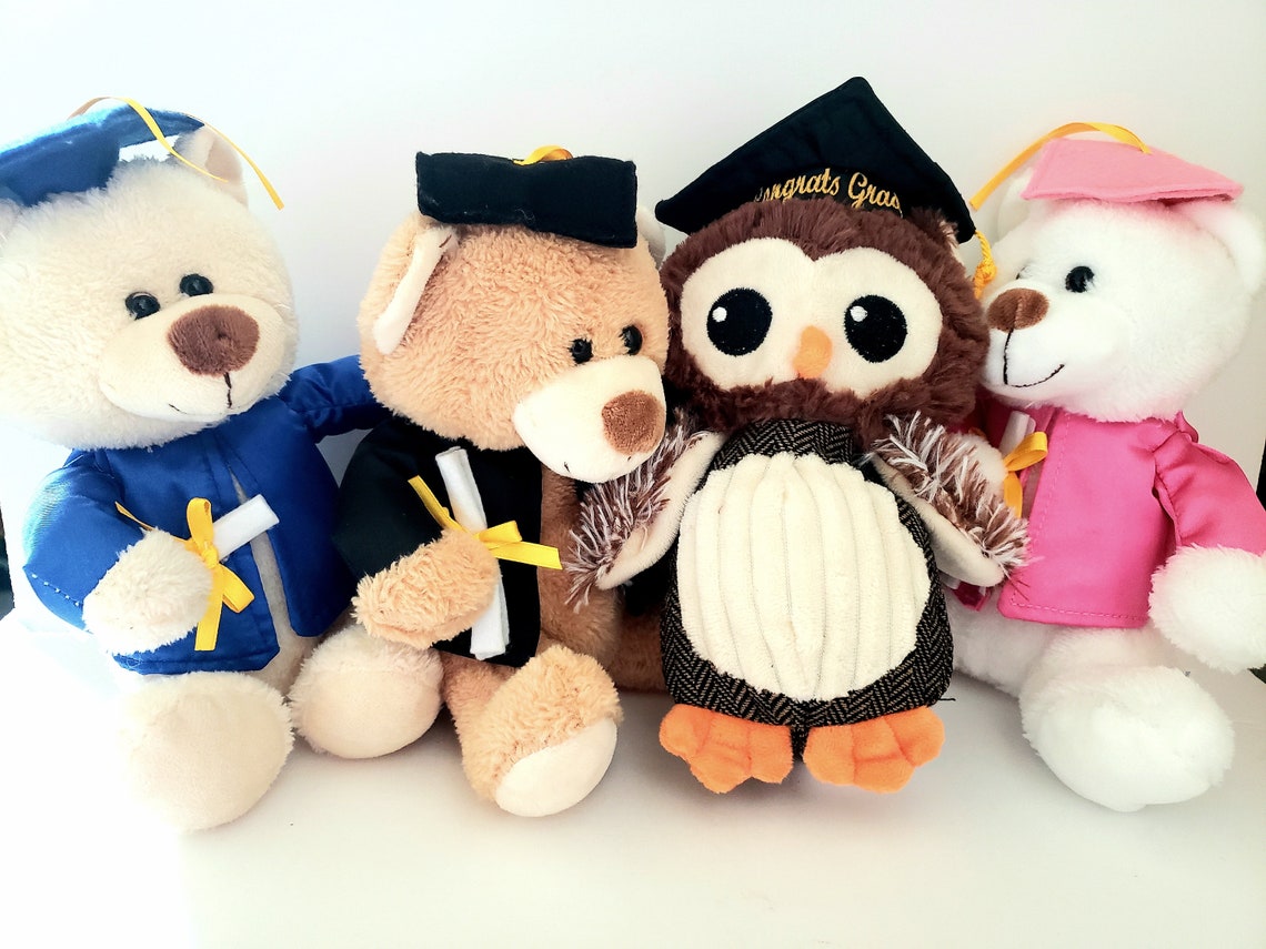 Nurse Graduation Bear Add a Graduation Bear to Your - Etsy