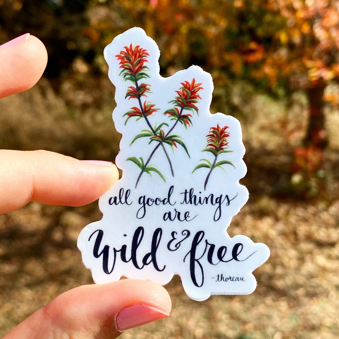 Wild and Free Sticker - Adventure Stickers for Water Bottle, Laptop ...