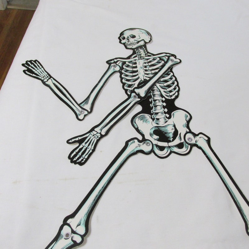 Skeleton Vintage - Etsy