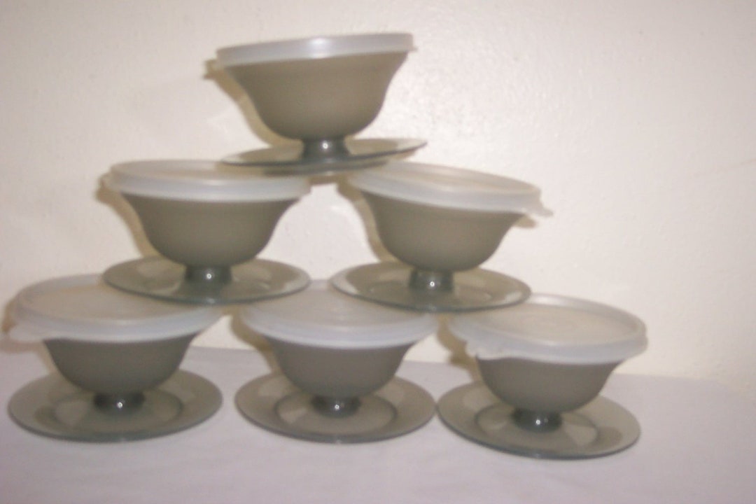 Tupperware Dessert Cups With Lids Set of 6 Vintage Smoke Color - Etsy
