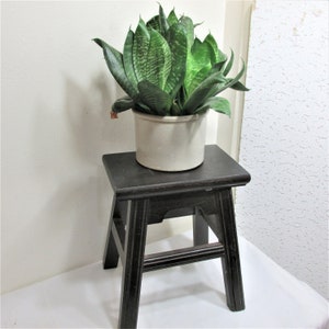 Decorative Stool Plant Stand Riser Not for Step Use - Etsy