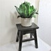 Decorative Stool Plant Stand Riser Not for Step Use - Etsy