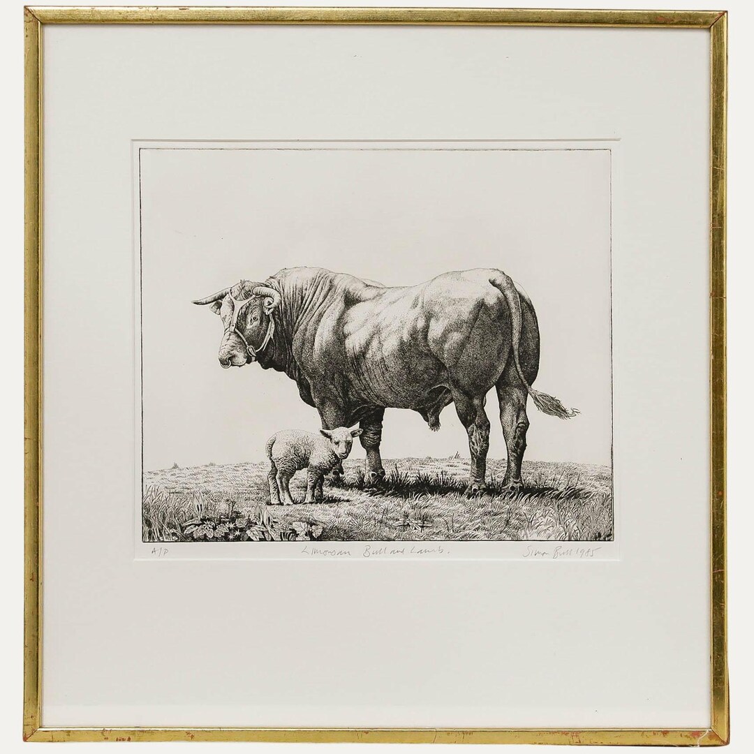Simon Bull (b. 1958) - Framed 1985 Etching, Limousin Bull and Lamb ...