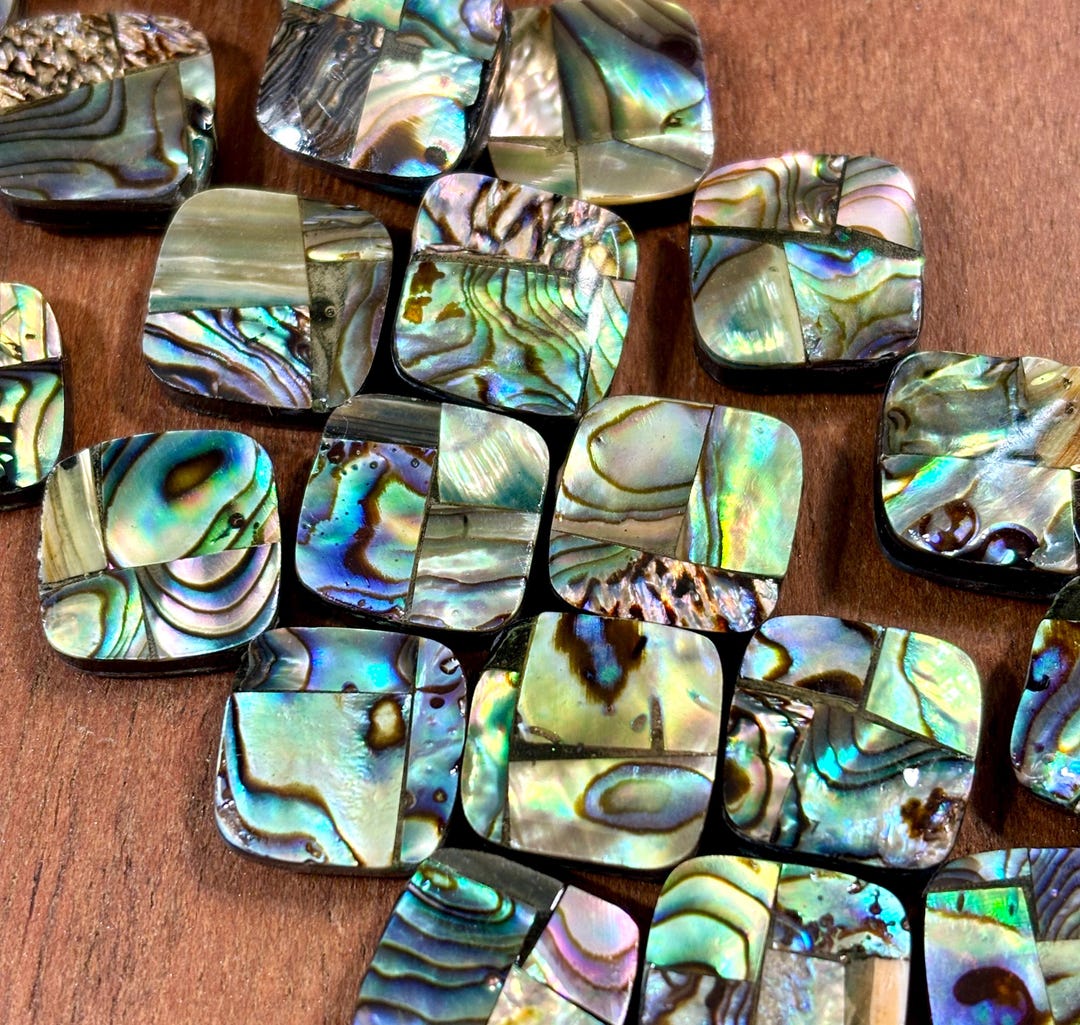 Abalone Shell Double Sided Beads Whole 16