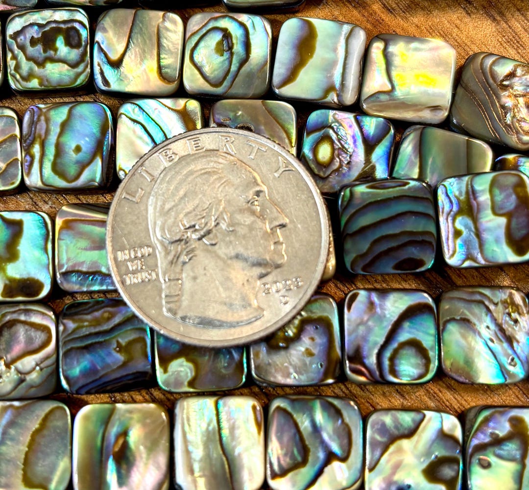 Abalone Shell Double Sided Beads Whole 16