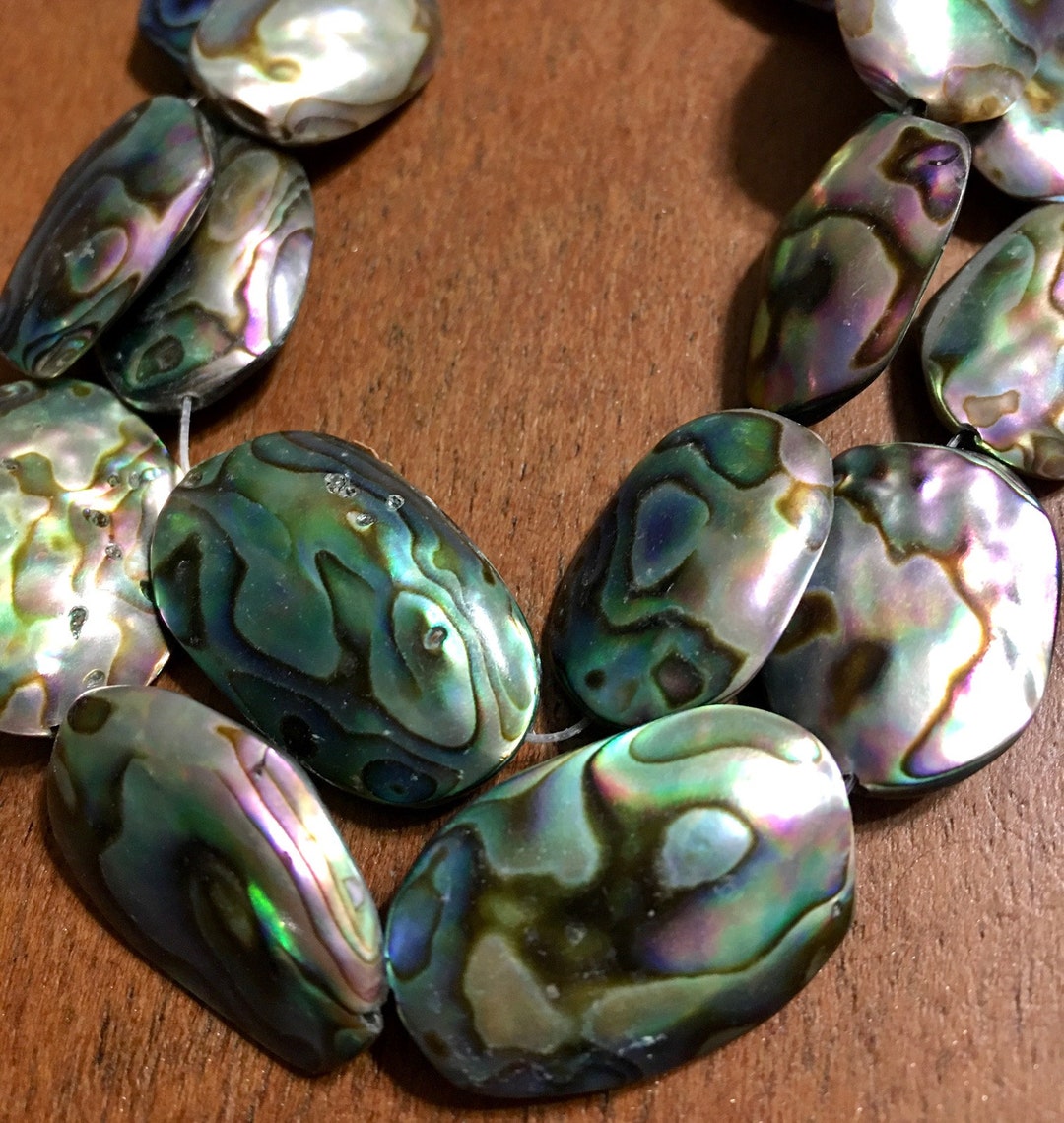 Abalone Shell Double Sided Beads Whole Strand - Etsy