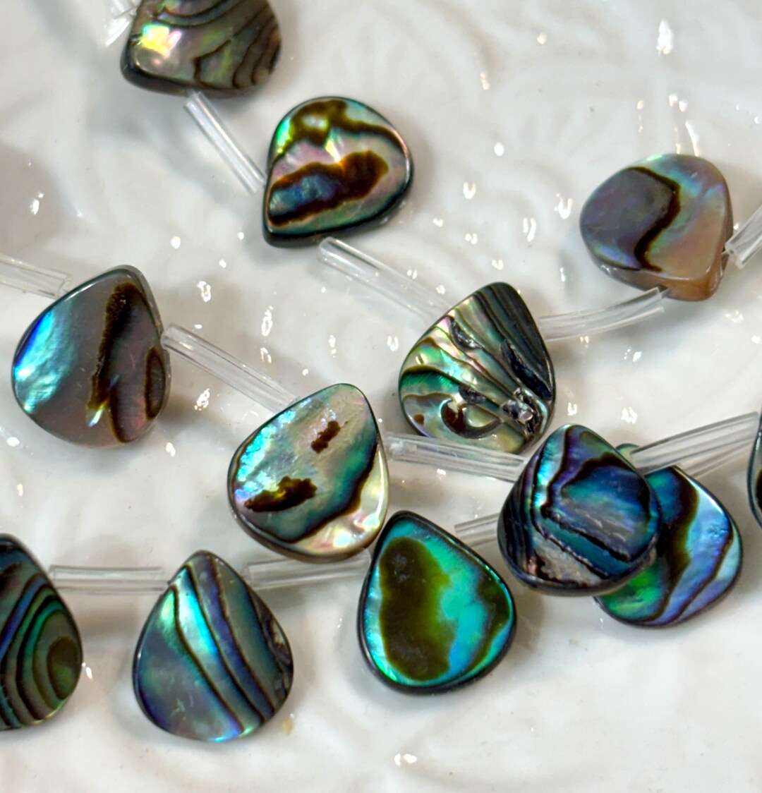 Abalone Top Drilled Drops WHOLE 30 Piece STRAND - Etsy