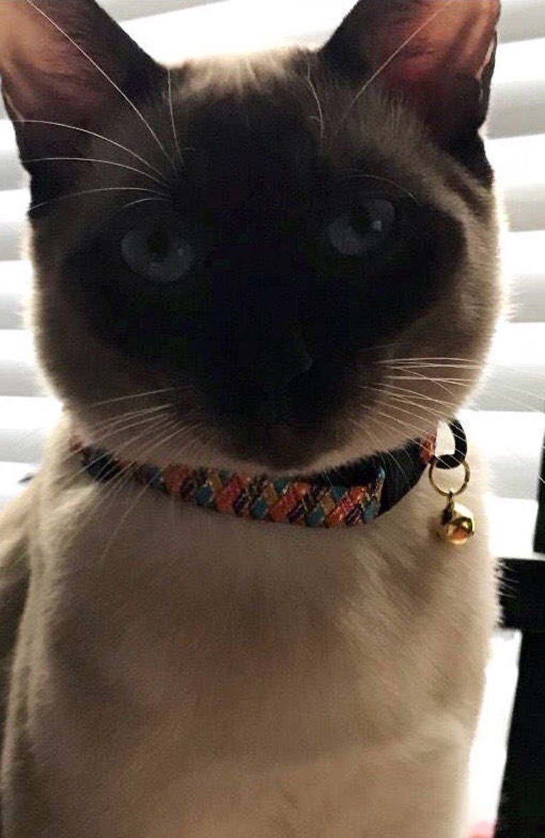 Designer Cat Collars With a Colourful Harlequin Pattern ( Breakaway ...