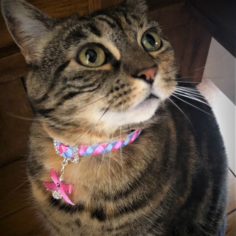 Large Cat Collar 1/2 Wide With Fashionable Shamballa | Etsy