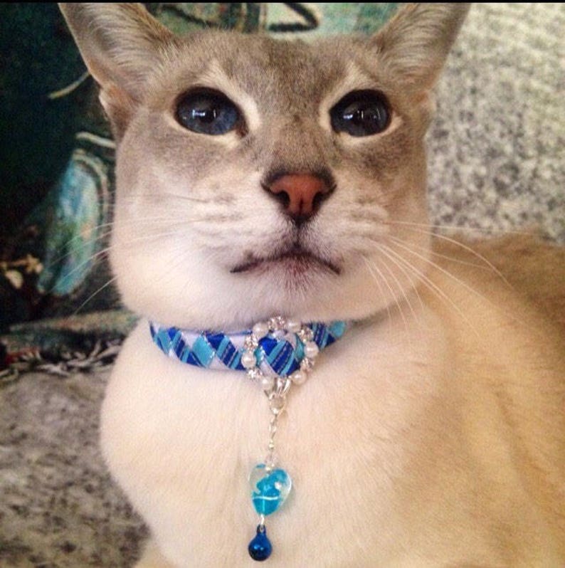 Blue Cat Collar Designer Breakaway Style With Diamante Buckle - Etsy