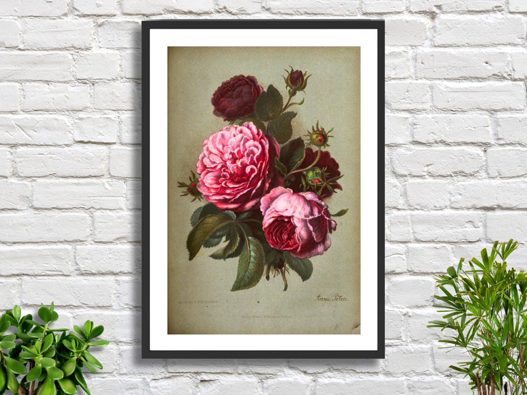 German Artist Anna Peters 'rosen' (roses) 1867 Pink Roses Still Life ...