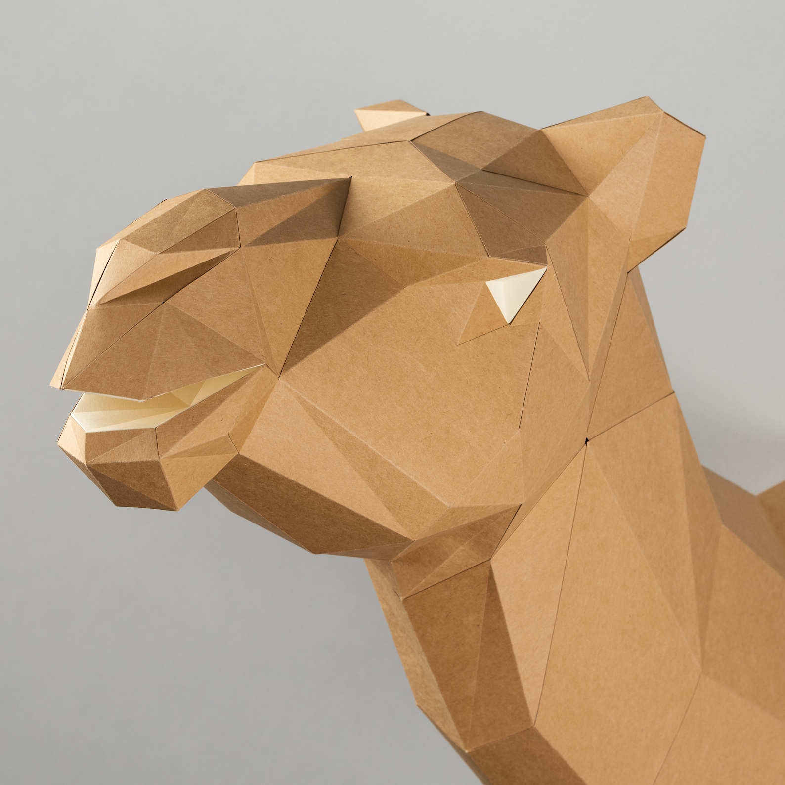 Camel 3d Papercraft. With This Purchase You Get PDF Digital - Etsy