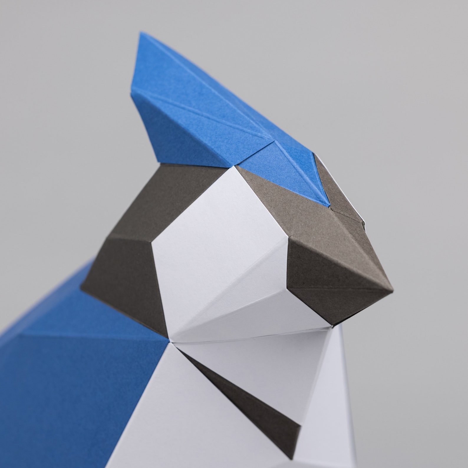 Blue Jay Bird 3D Papercraft. You Get SVG and PDF Digital File - Etsy