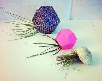 Terrarium 3d File - Etsy